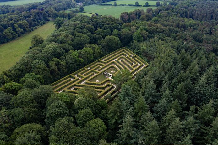 Ruurlo heeft het grootste doolhof van Europa (en ondanks de droogte is ...