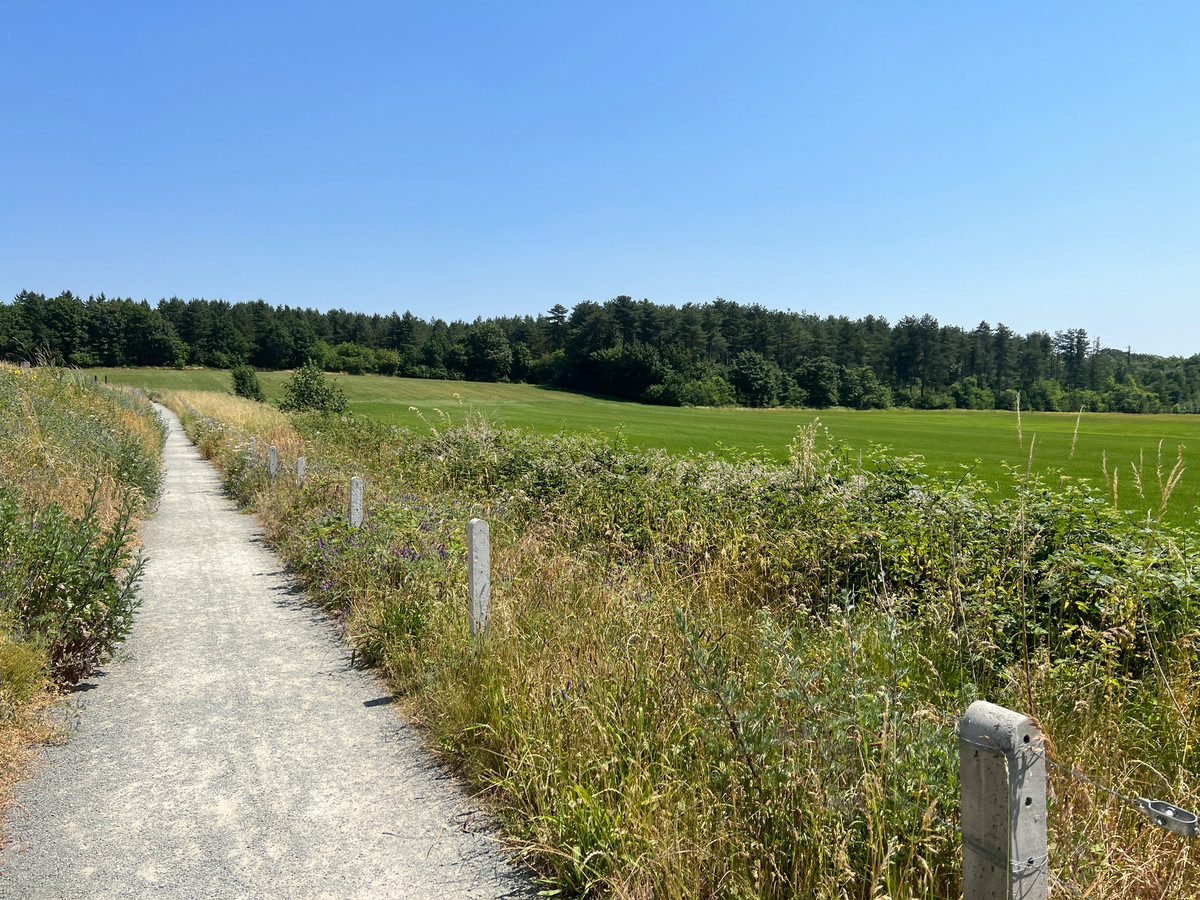 9,5 km lang genieten tussen uitgestrekte bossen: onze journaliste test ...