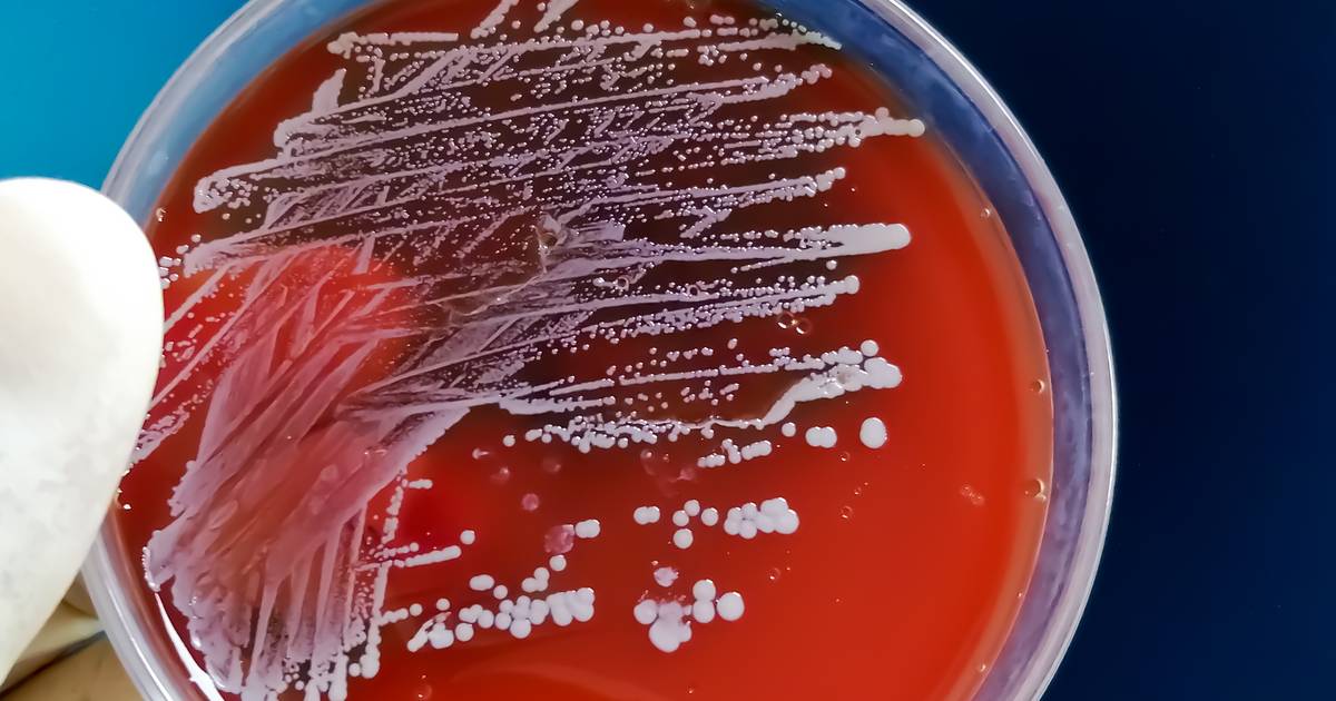 Genetische afwijking verklaart waarom sommigen erg ziek worden bij ...