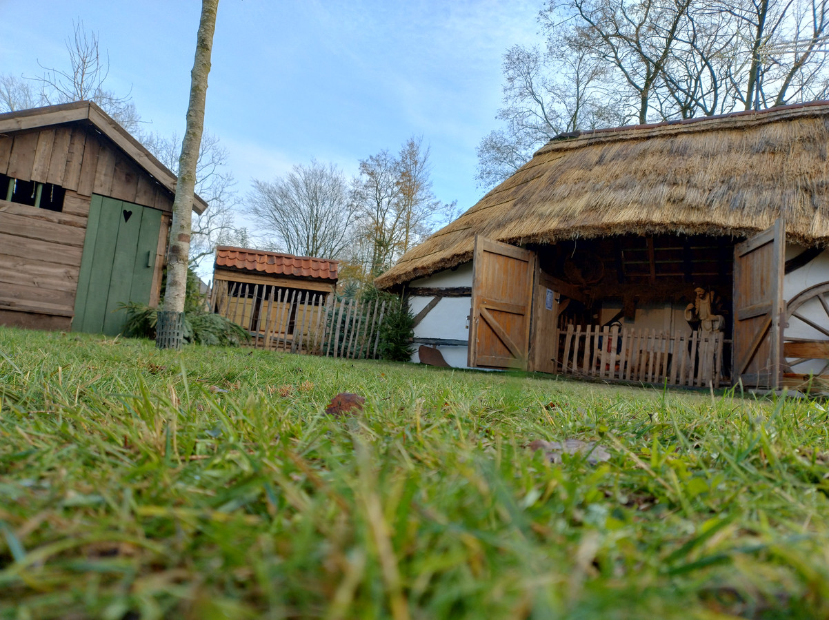 Centrum van Westerlo baadt in gezellige sfeer tijdens kerstmarkt | Foto ...