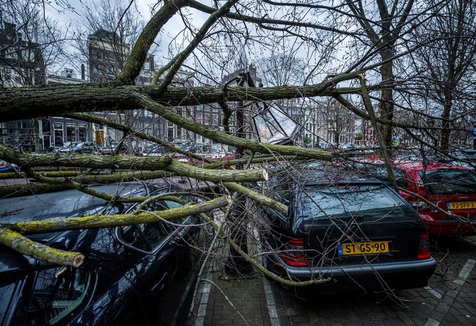 OVERZICHT. Europa meet stormschade op, dit waren de meest opmerkelijke ...
