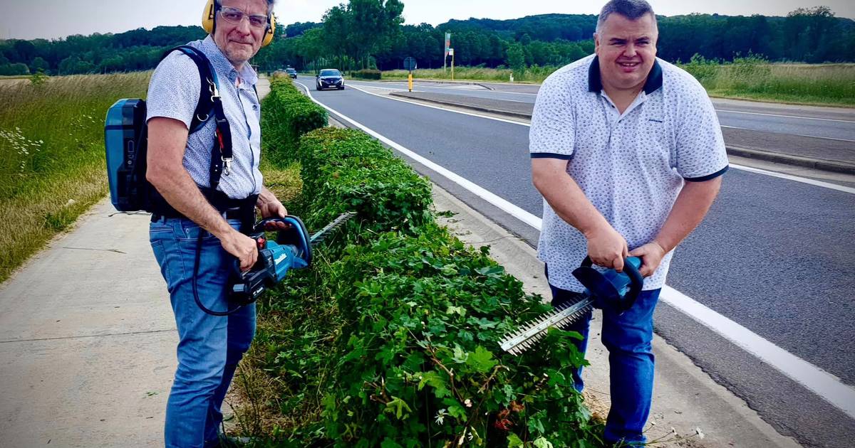 Burgemeester snoeit zelf hagen langs N223: “Omdat AWV niets onderneemt ...