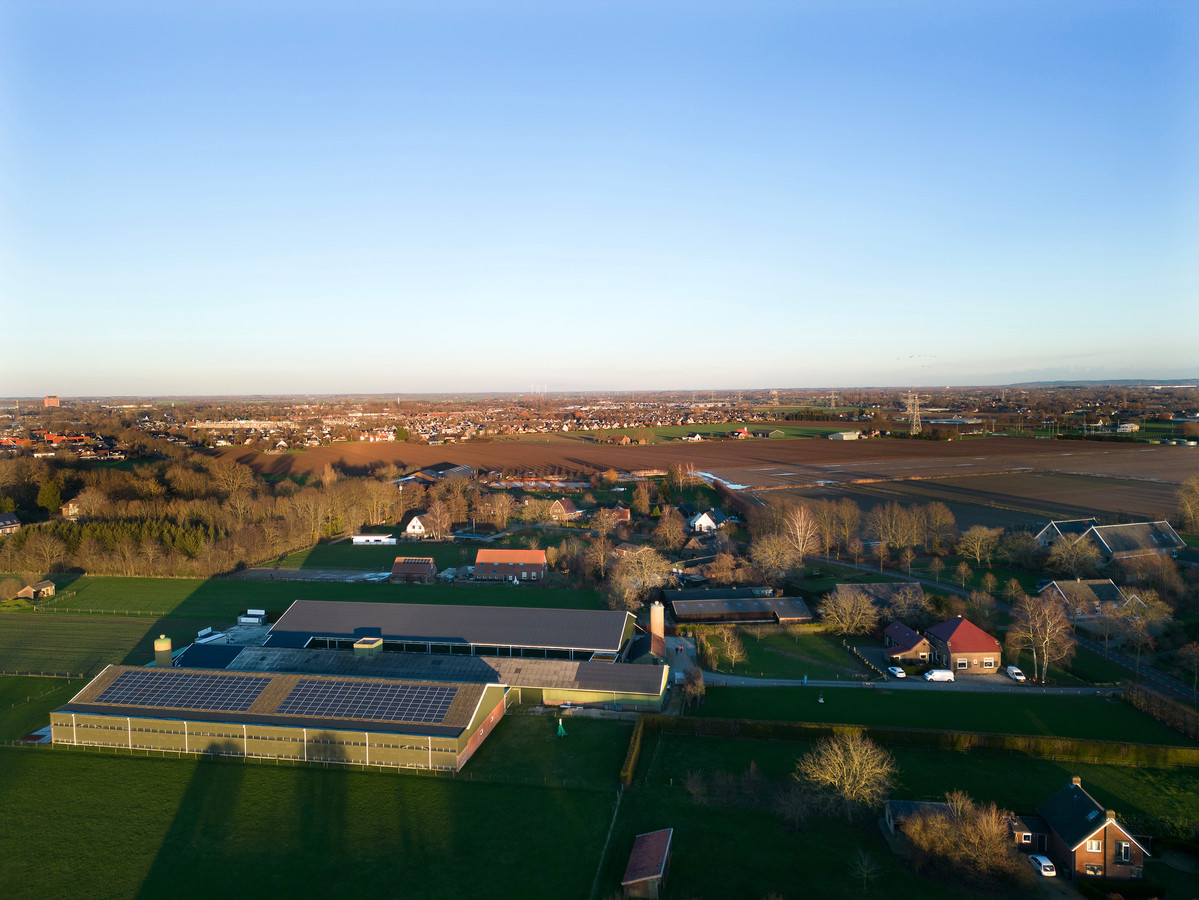 Verdriet op kippenbedrijf in Loo vanwege gevreesde vogelgriep: ‘Dit ...