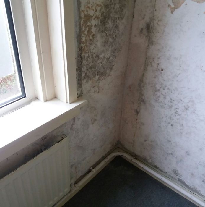 SP trekt aan de bel over schimmel in huurwoningen | Rotterdam | AD.nl