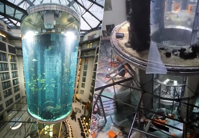 L'aquarium d'un hôtel de Berlin explose: un million de litres d'eau s ...