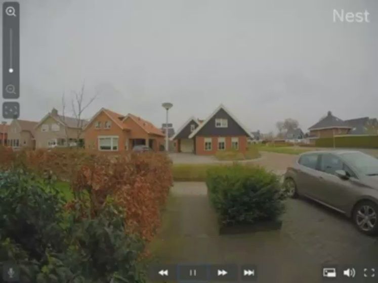 Van teeuw tot walfijn: de meest bijzondere kruisingen in dierenland ...