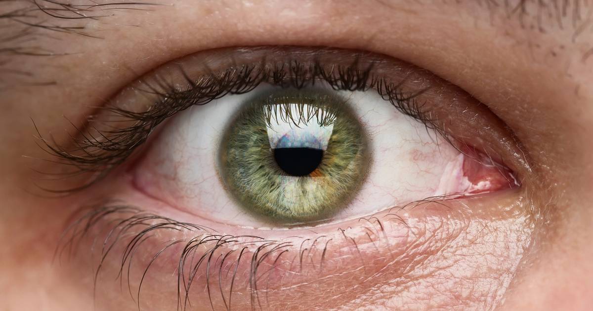 Waarom we uitgerust zijn voor een derde ooglid en een oor hebben dat ...