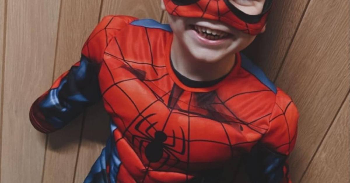 Mason gaat dit jaar als Spider-Man naar school | Berlare | hln.be