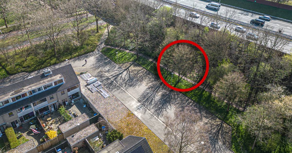 Belager 70-jarige vrouw in Zwolle blijft voorlopig in de cel | Zwolle ...