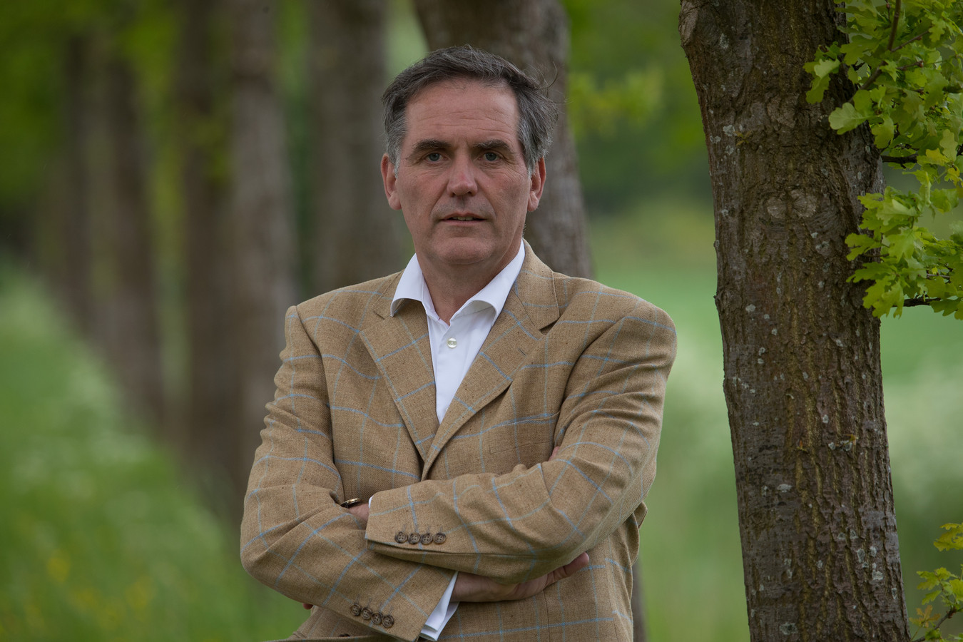 Directeur De Hoge Veluwe wil dat afschieten van wolf mogelijk wordt ...