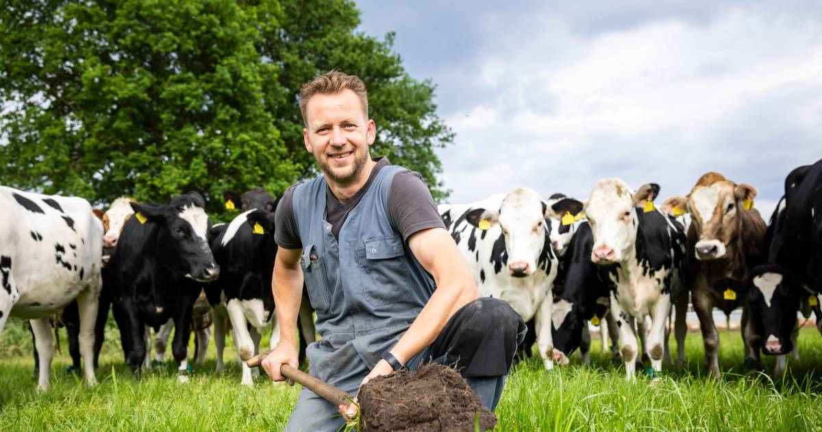 Uitvinding van boer Stan (45) wint belangrijke prijs: ‘Veel minder ...