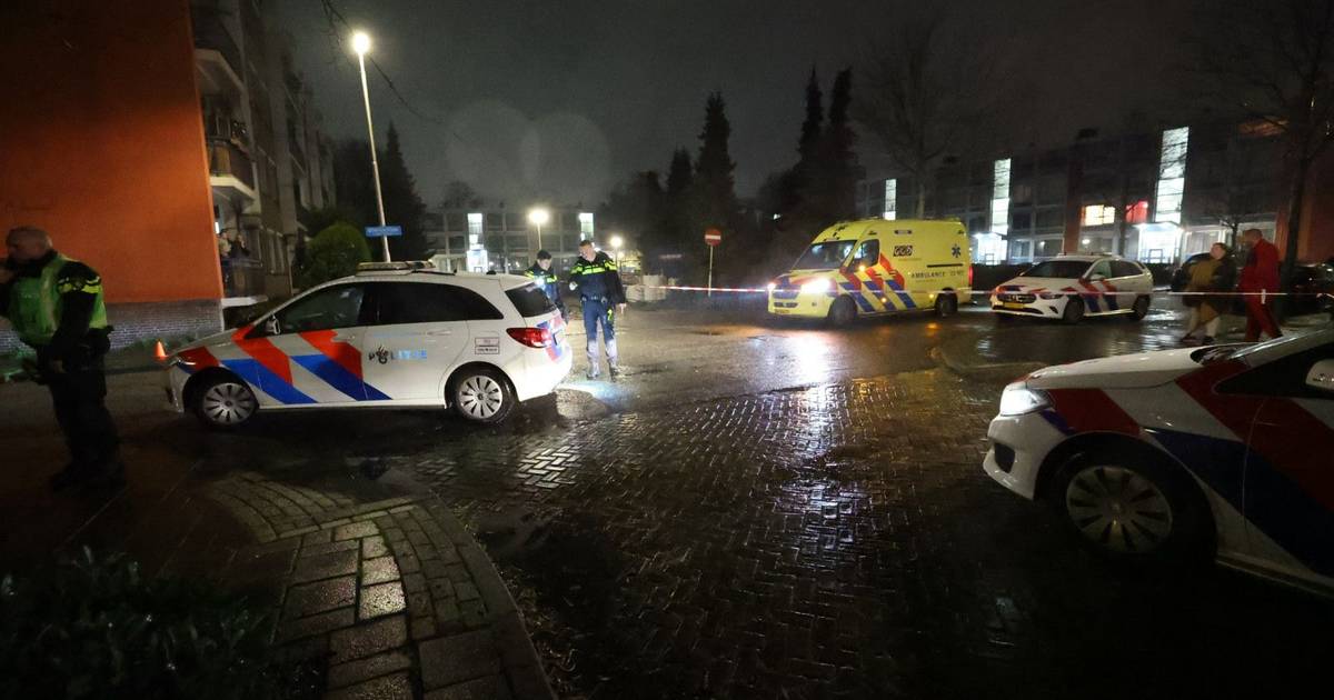 Ruzie in Eindhoven escaleert: vier gewonden bloedend op straat en stoep ...