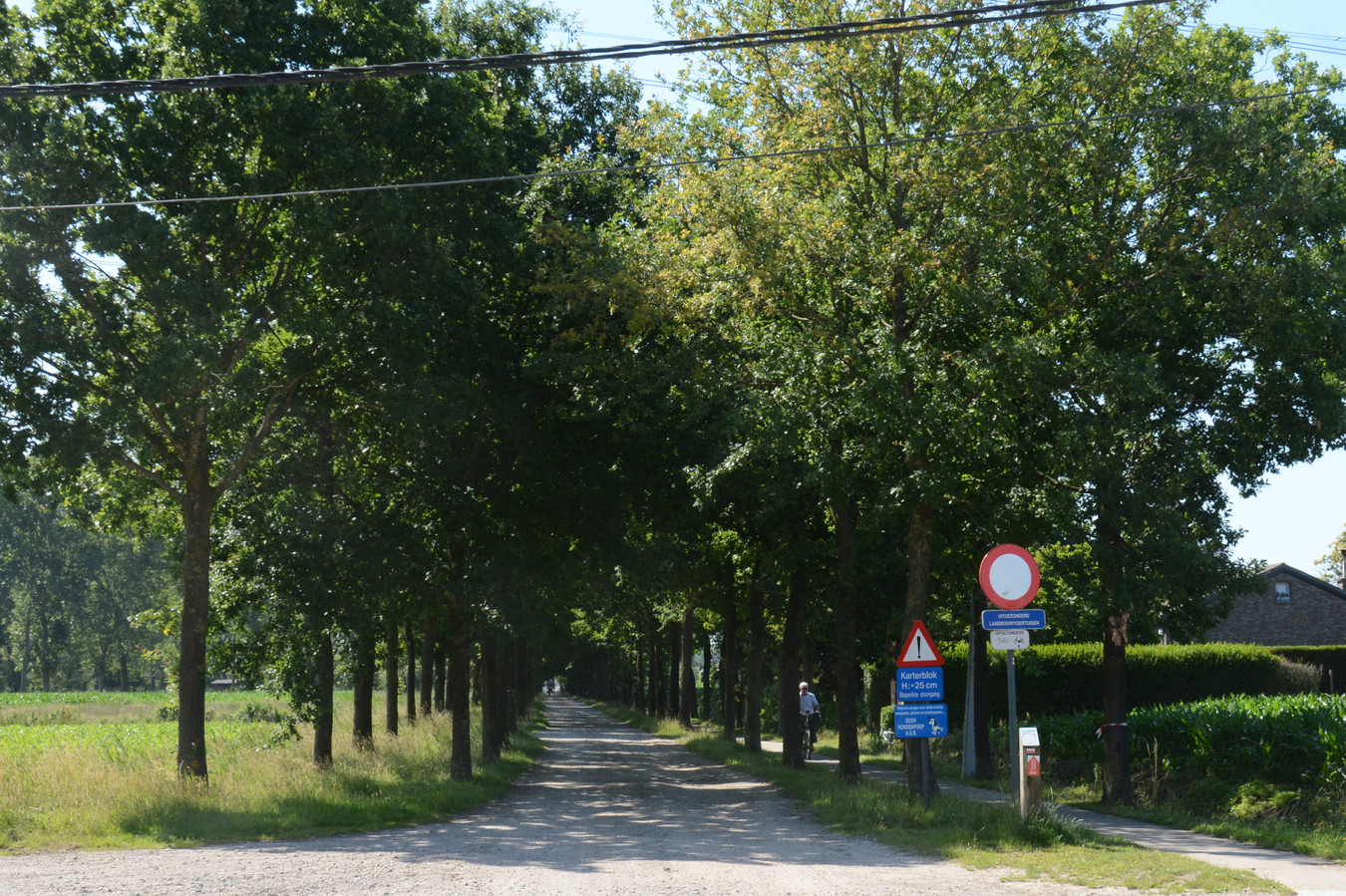 De warmste vakantieplek van Vlaanderen, met gids Richard Willems naar ...