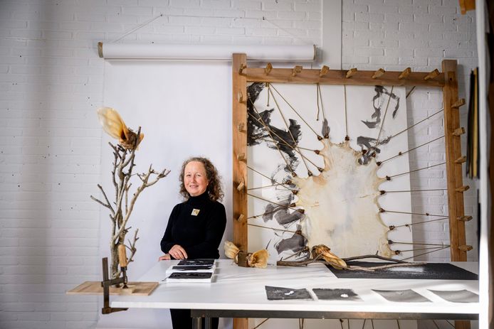 Is dat wat, die Krikhaarprijs? Almelose kunstenaars zijn er heel blij ...