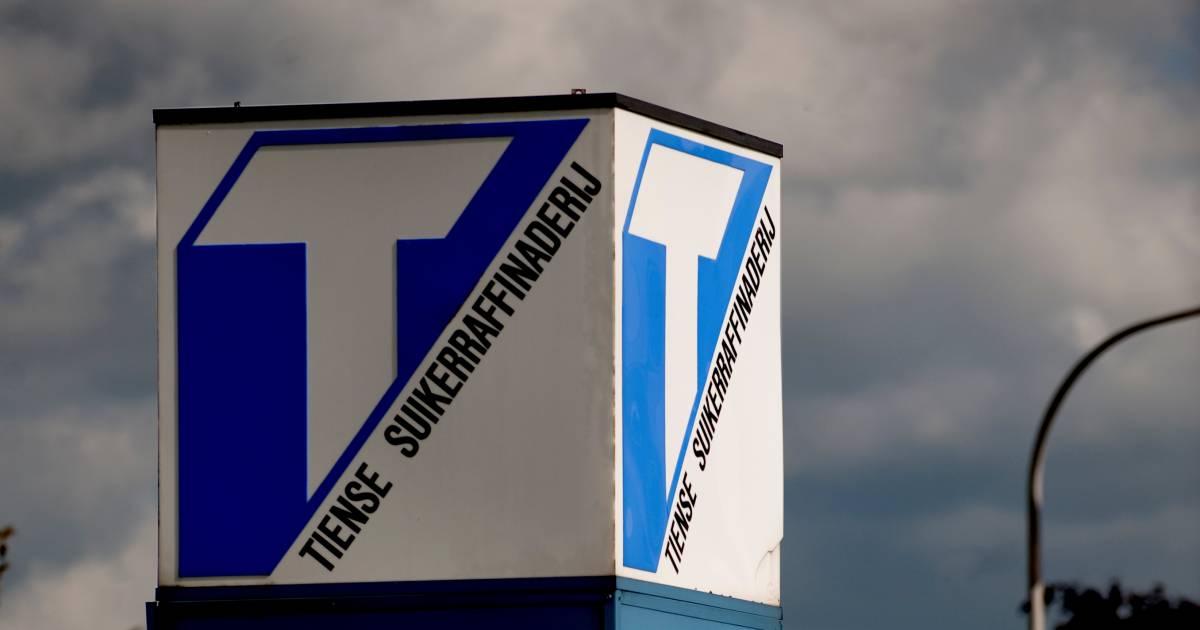 En plus du sucre, la Raffinerie Tirlemontoise se met à produire du gel ...