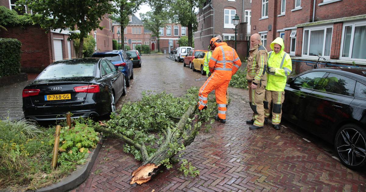 Brandweer ingezet voor afgebroken takken op straat in Den Haag | Den ...
