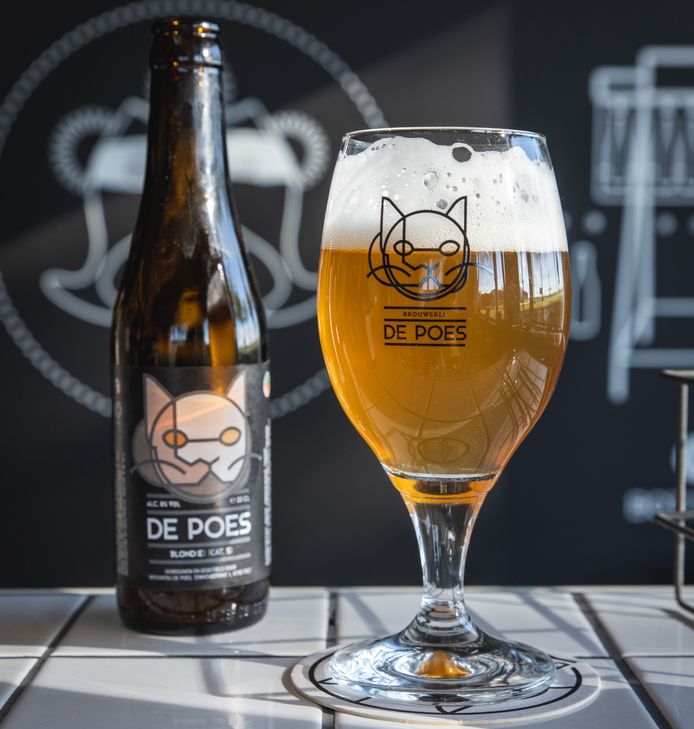 Brouwerij De Poes wint twee medailles in Frankfurt | Tielt | hln.be