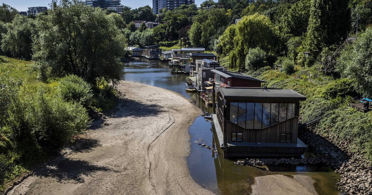Officieel watertekort vanwege droogte: ‘Denk goed na of je je auto moet ...