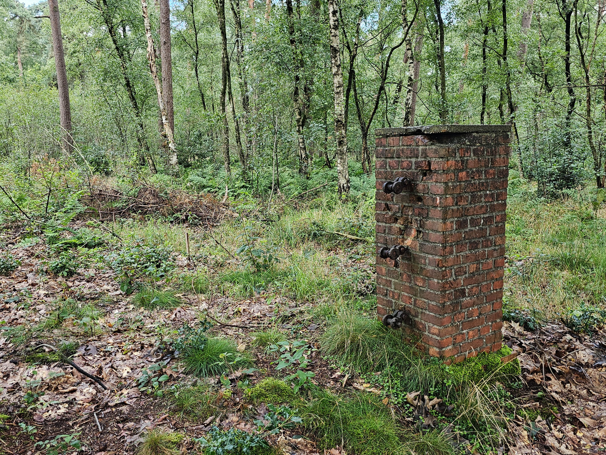 Kolonie krijgt natuurbegraafplaats dankzij burgerbeweging Wortel2030 ...