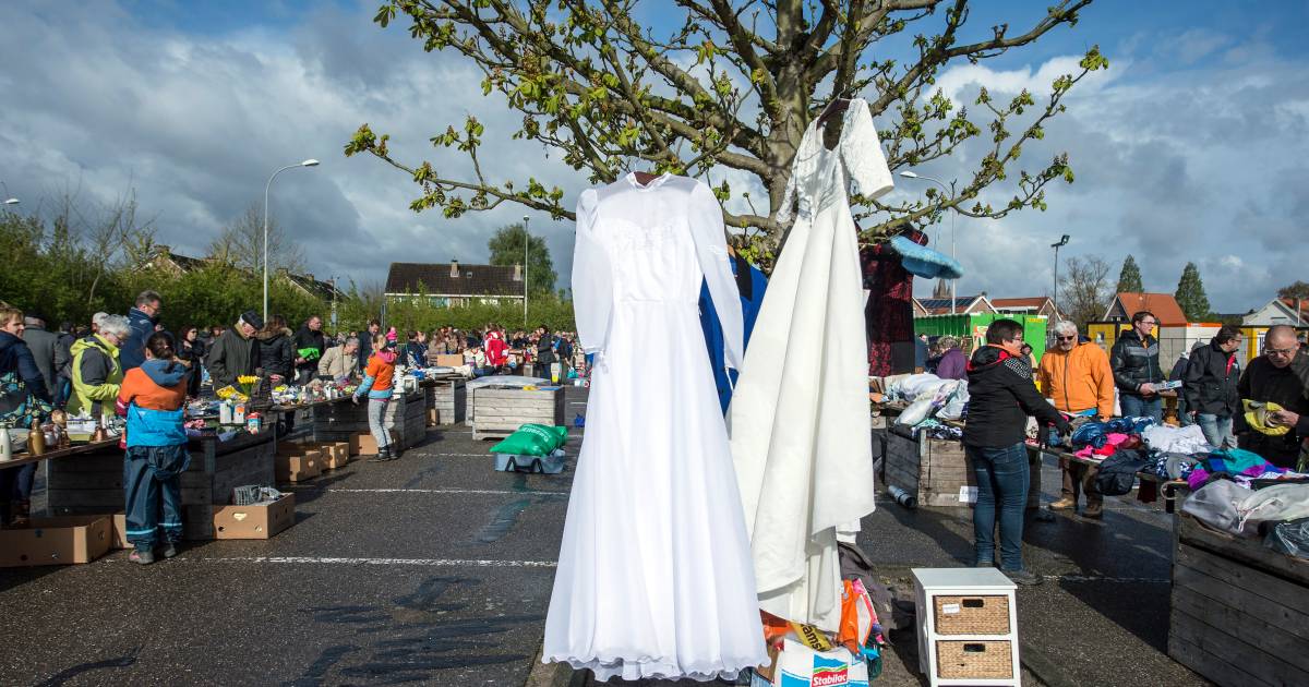 Rommelmarkt Bamboes wordt online veiling, EEF en Kapelse Dag schuiven ...