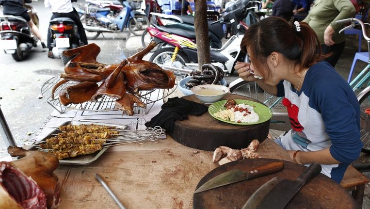 Honderdduizenden honden gesmokkeld naar Vietnamese 'liefhebbers'