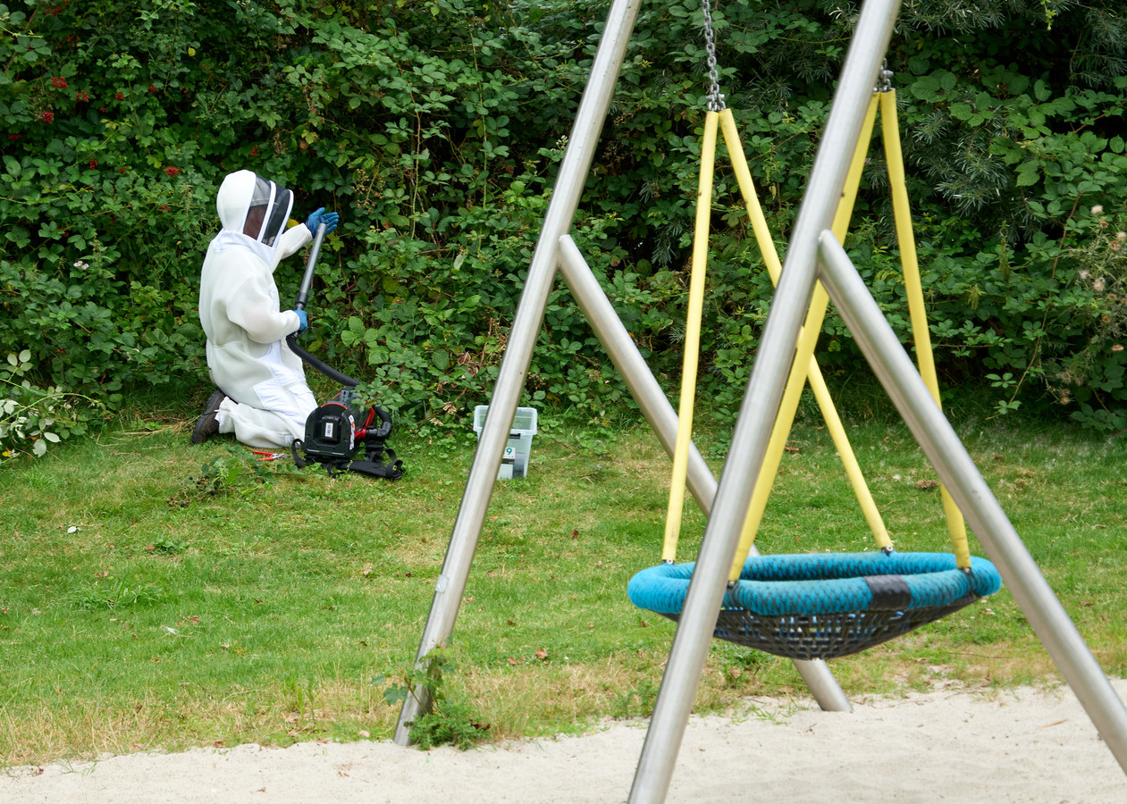 Hoe een Twentse methode kan helpen bij bestrijding levensgevaarlijke ...
