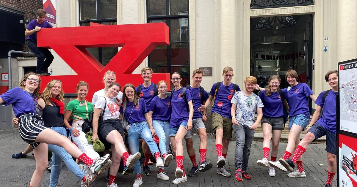 Zeeman, Lidl, Albert Heyn én Enschede: ‘Hippe sokken met een subtiel ...