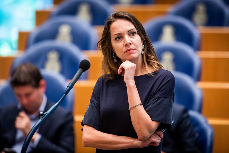 Van Omtzigt tot Koekkoek: dit zijn de 20 ware volksvertegenwoordigers