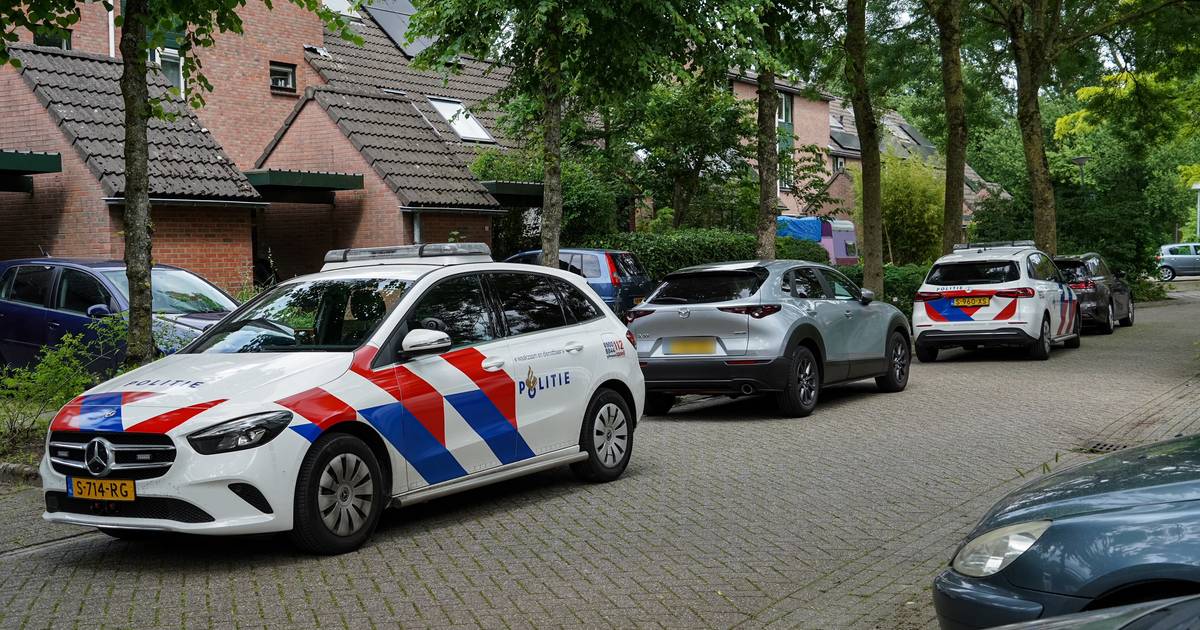 Verdachte schietpartij Rotterdam-West aangehouden in Groningen ...