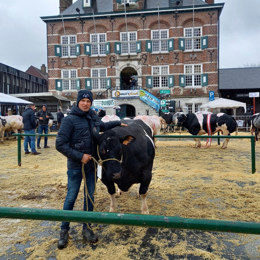 Ondanks regen blikt Zomergem terug op meer dan geslaagde Vette Veemarkt ...