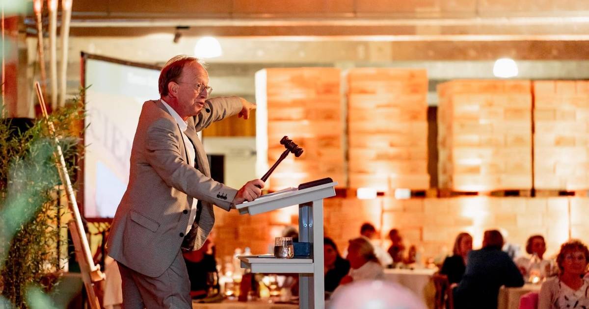 Kunstveiling Viva Sara Brengt 65 500 Euro Voor Ondersteuning Kansarme