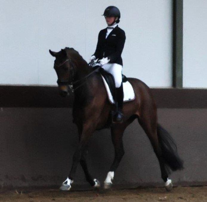 Hoofdrol voor Marijke van Giesen, dankzij merrie Funkenmarie en ruin ...