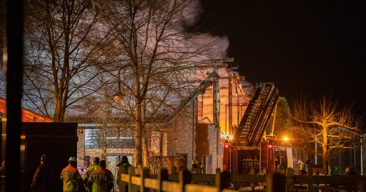 Flinke brand bij manege in Bergen op Zoom: ‘We stonden te kijken, het ...