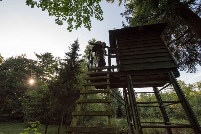 Limburgse jager breekt bekken door sabotage in jaaghut | Binnenland | AD.nl