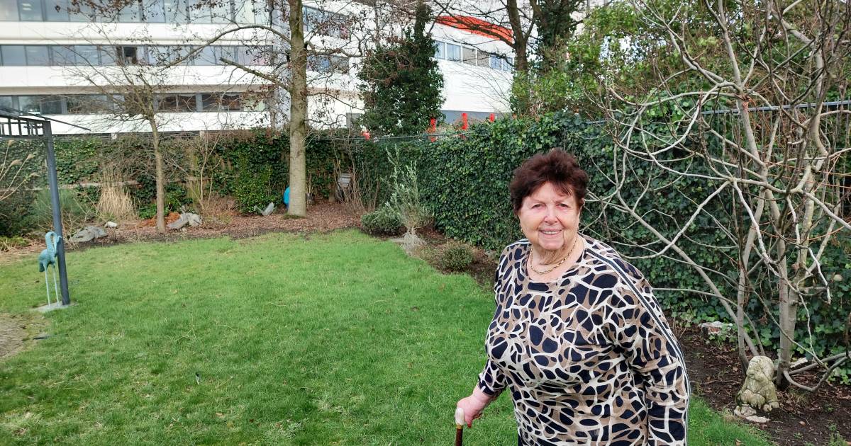 Gerda woont sinds oorlog naast PSV-stadion en herinnert zich razzia van ...