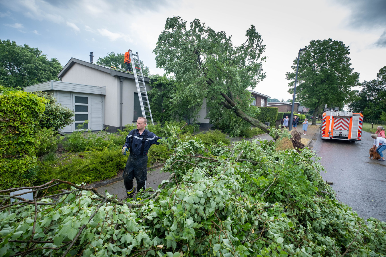 Boom valt op woning na hevige rukwind: “Ze staan gewoonweg te dicht ...