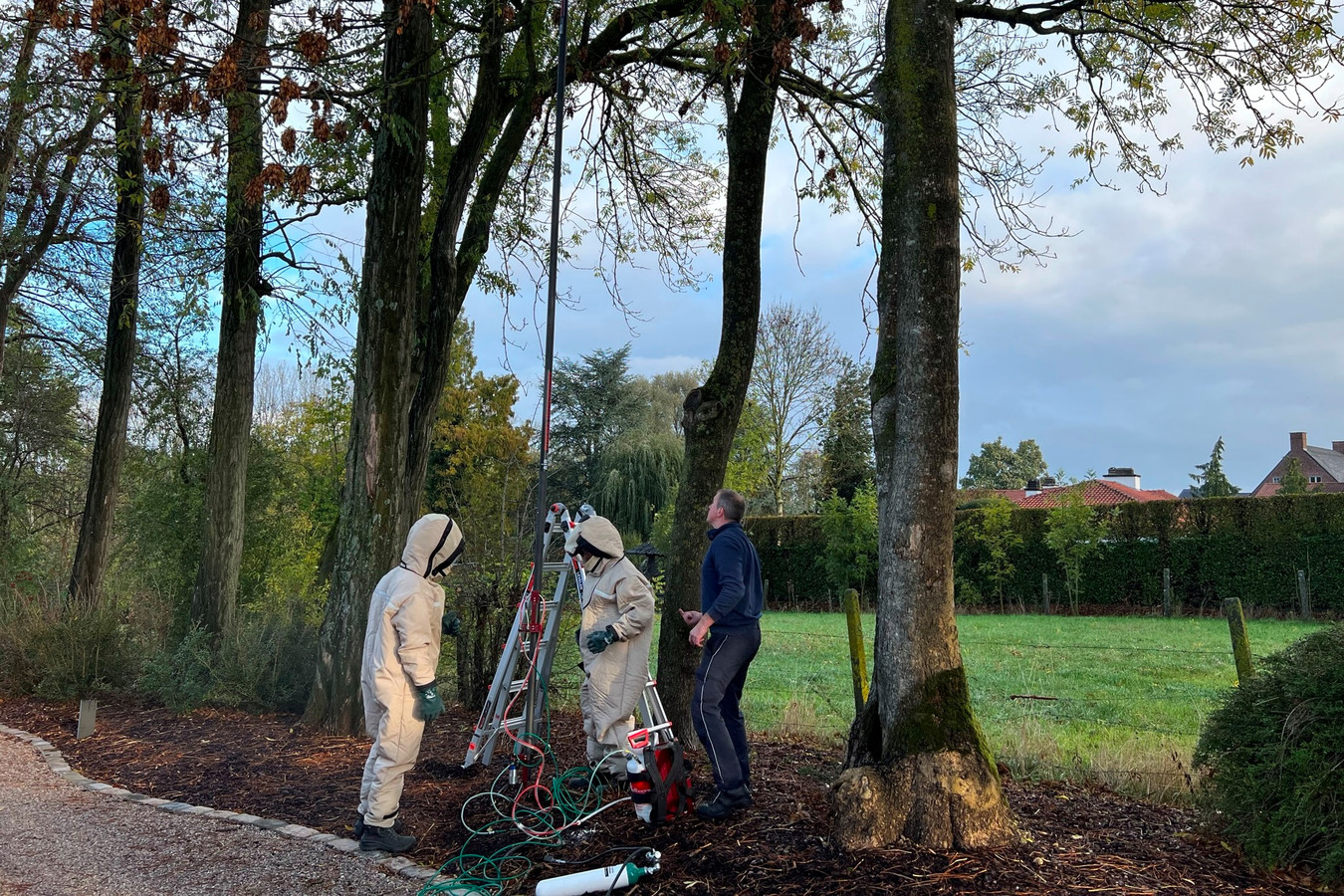 REPORTAGE: Mee op stap met brandweer om Aziatische hoornaars op grote ...