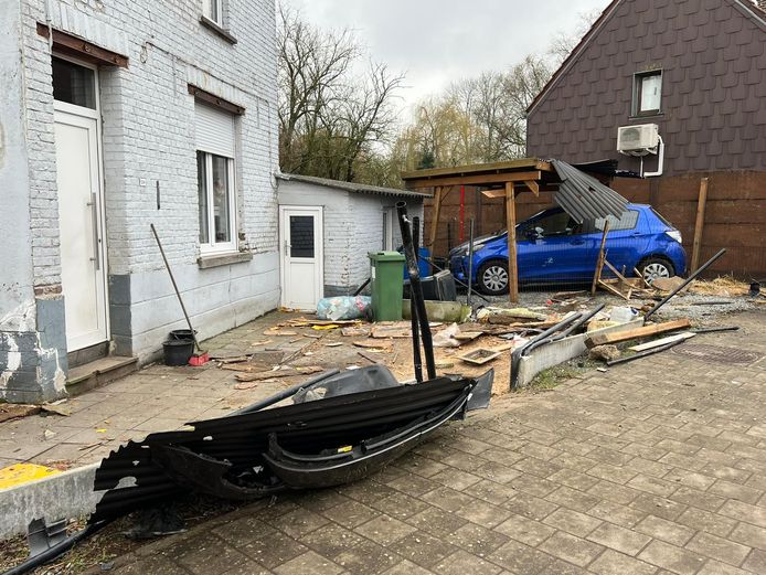 Konijn overleeft crash tegen carport niet: "Ze noemen dat hier de ...