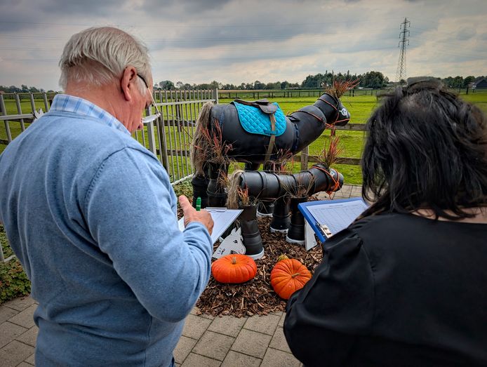 Wijken van Sint-Eloois-Winkel pakken uit met hun meest creatieve ...