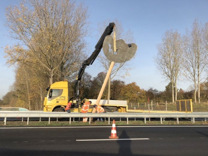 Vleermuis veilig voorbij de Tractaatweg dankzij ‘hop-over’ | Zeeuws ...
