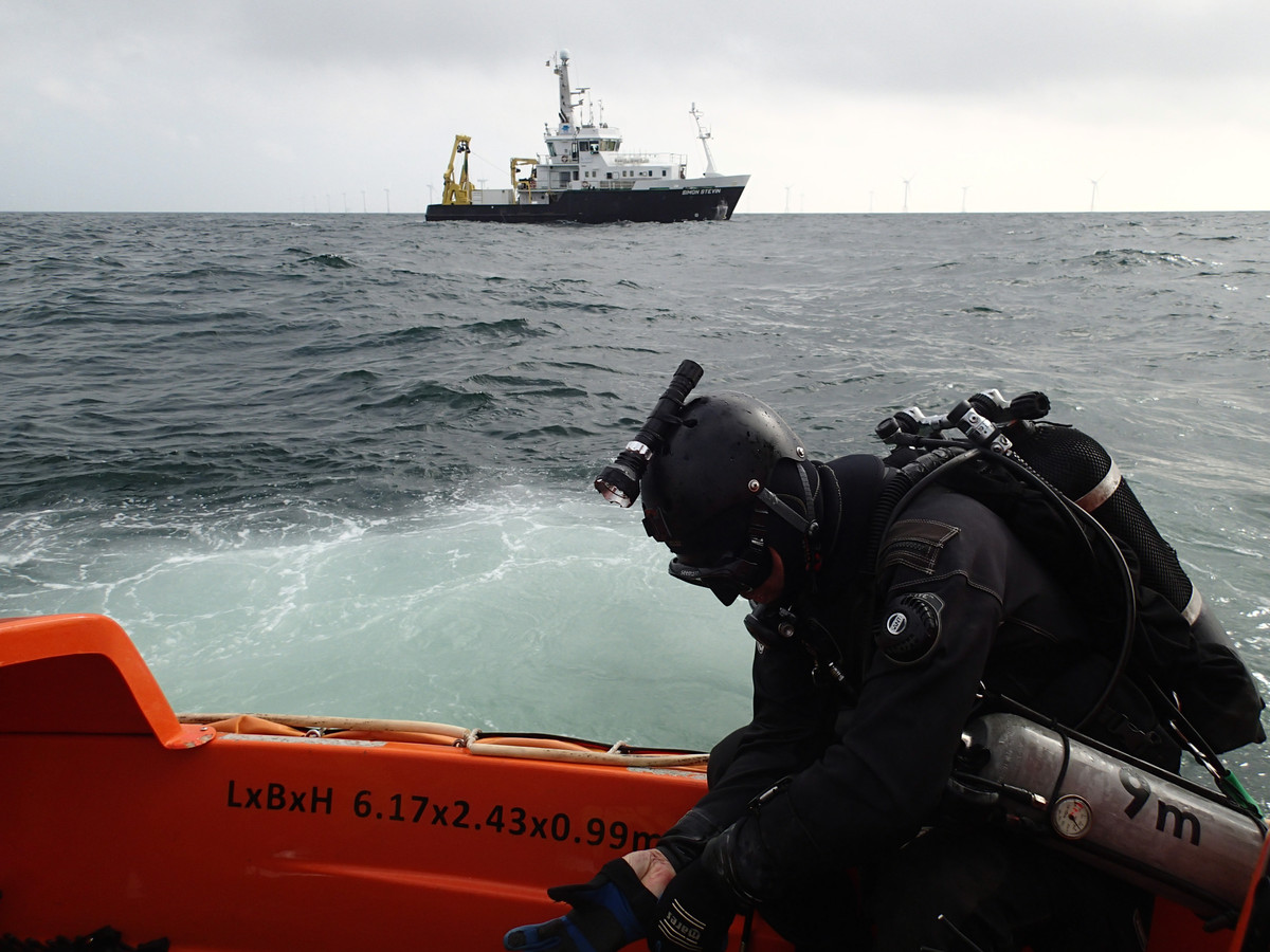 “Hoe explosief is een bord Oostendse vis?”: parlementslid vraagt extra ...