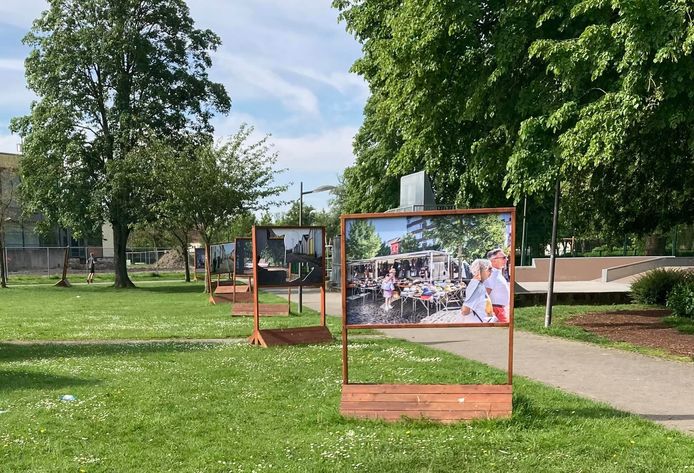 Politie Ninove op zoek naar getuigen van vandalisme op ...