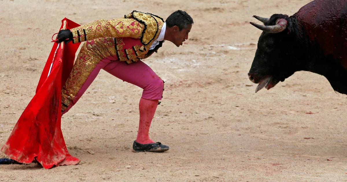 Jonge stierenvechter sneuvelt in Franse arena | Buitenland | AD.nl Jonge stierenvechter sneuvelt in Franse arena | Buitenland | AD.nl