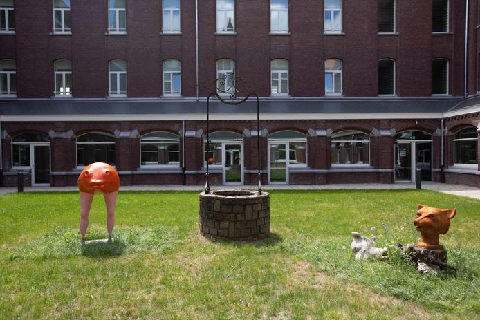 Co-livingproject in Bree wordt kunstexpo: “Vieren het einde van corona” | Bree | hln.be