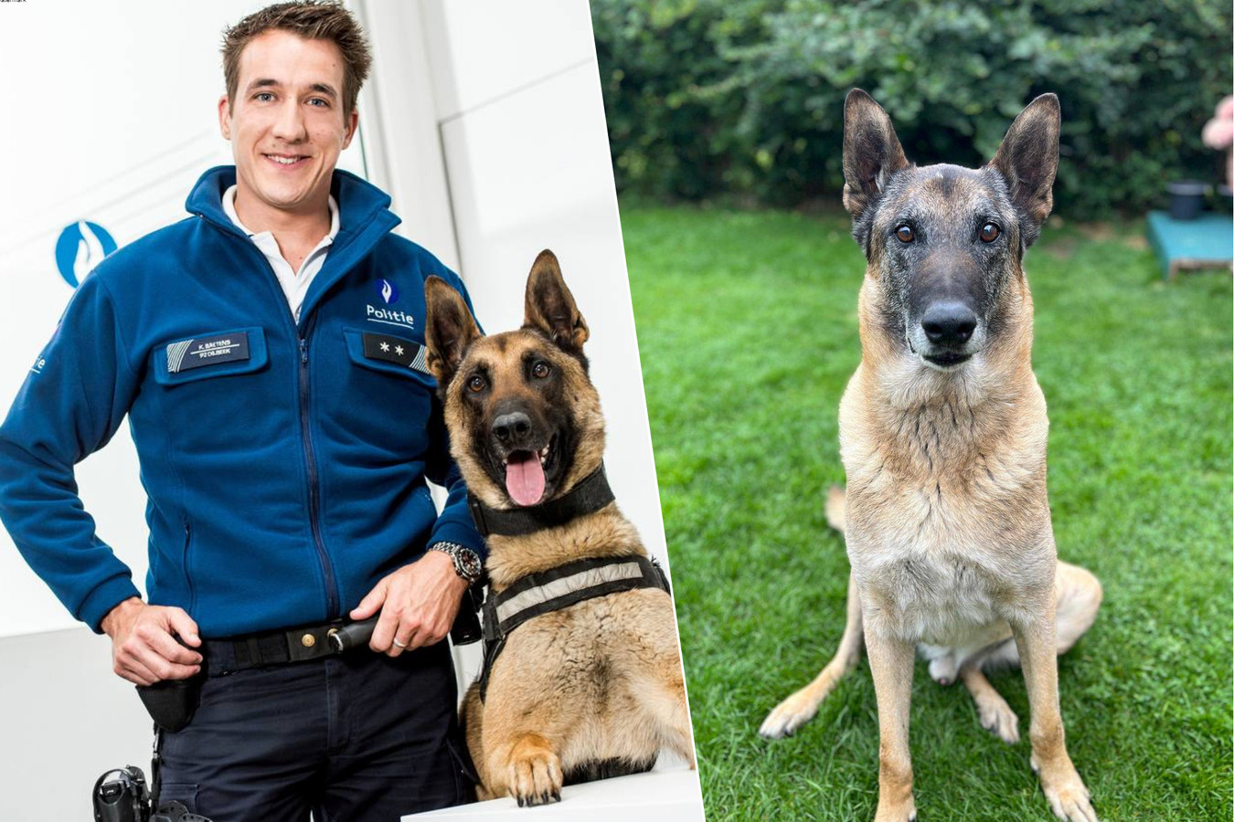 Andy Peelman neemt afscheid van zijn onmisbare ‘Buurtpolitie’-collega ...