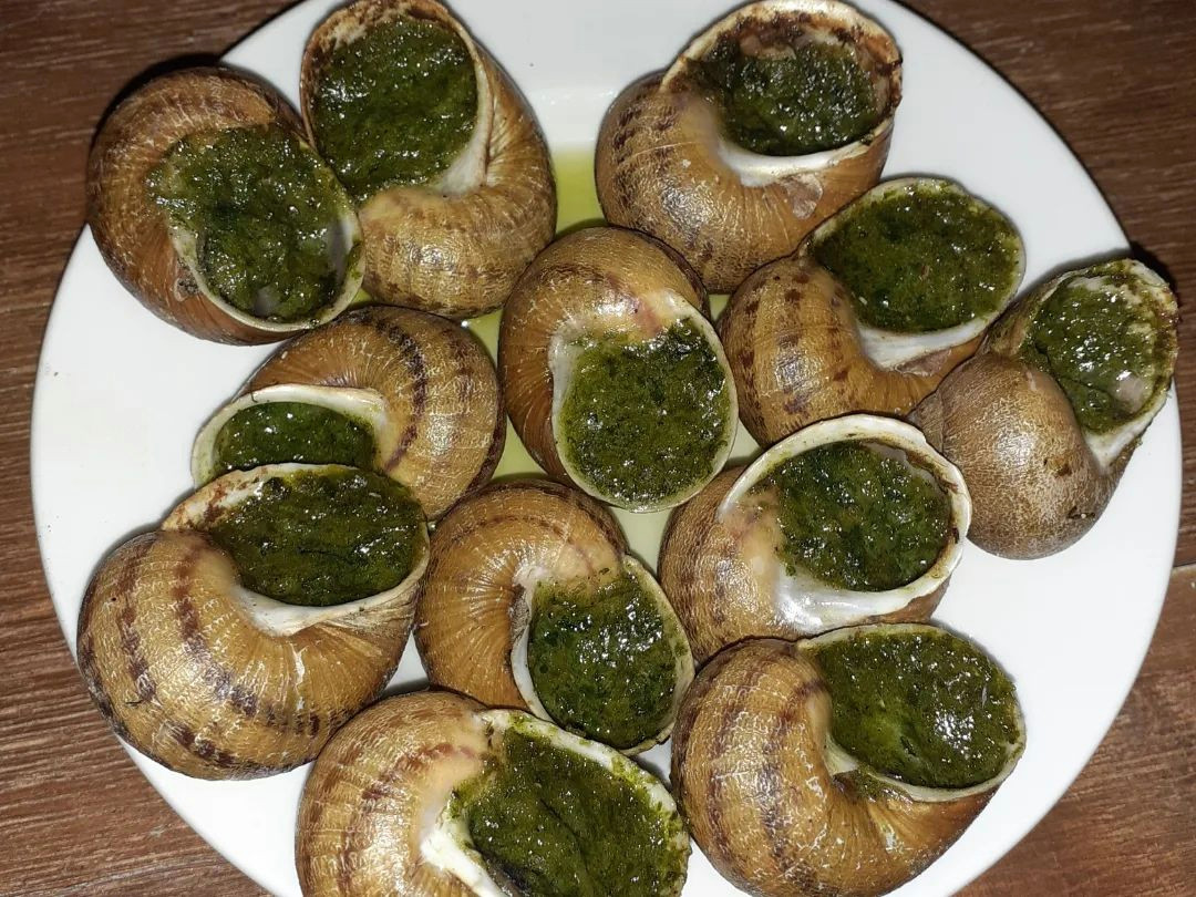 Slakken zijn het voedsel van de toekomst en ze worden gewoon in ...