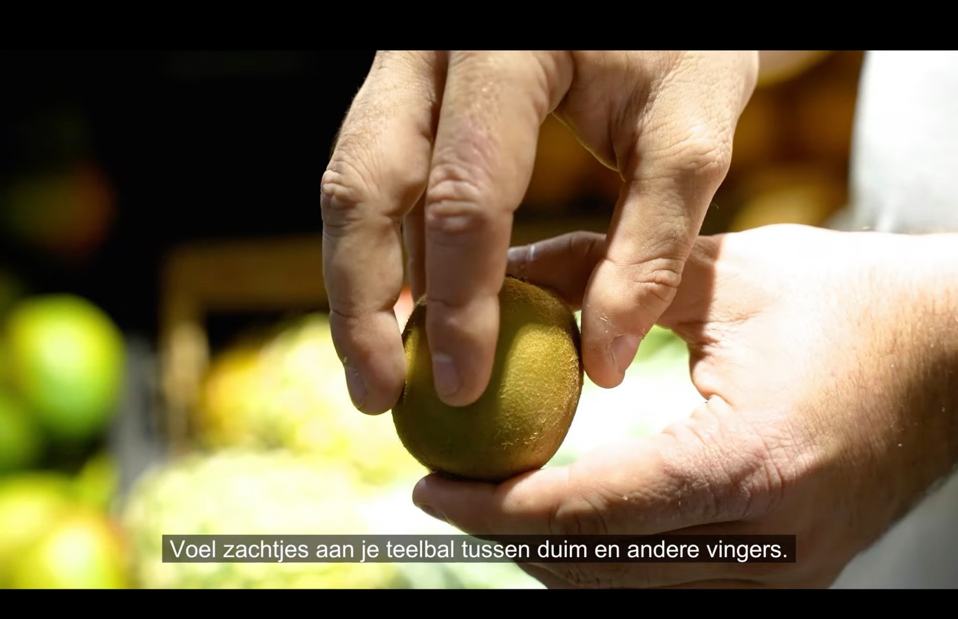 Uroloog Sam Ward gaat viraal met kiwi-filmpje over teelbalonderzoek ...