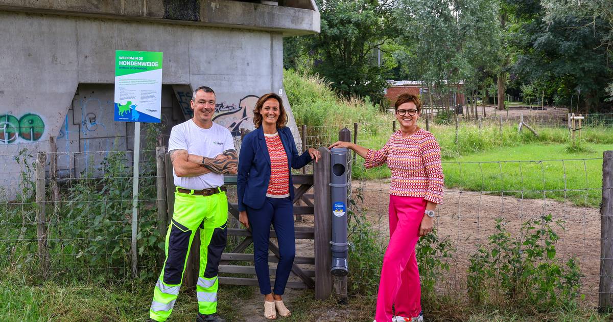 Stad Izegem introduceert hondenpoepbuizen | Izegem | hln.be