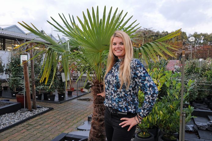 Zakenvrouw Ilse van der Slikke: ‘Ik deed mijn werk, maar ik wilde ...