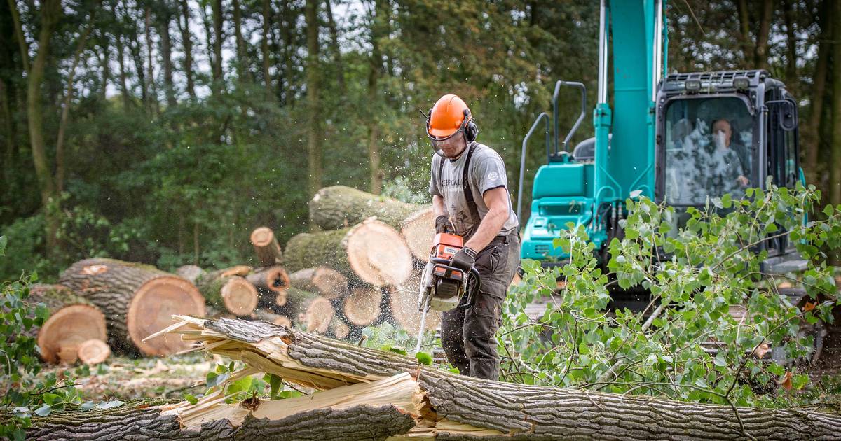 Peppels wijken voor peppels in Weurt | Beuningen | gelderlander.nl